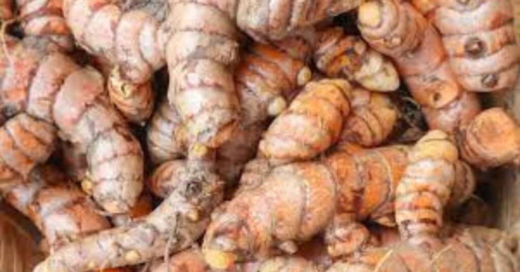 Three Leaved Yam: Simple Facts, Uses And Benefits