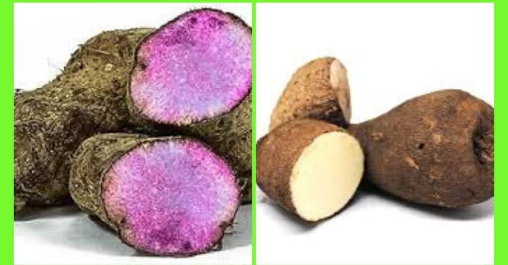 Water Yam: Simple Facts, Uses And Benefits To Know