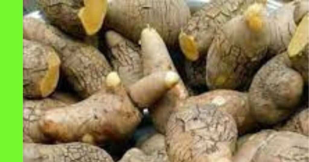 Three Leaved Yam: Simple Facts, Uses And Benefits