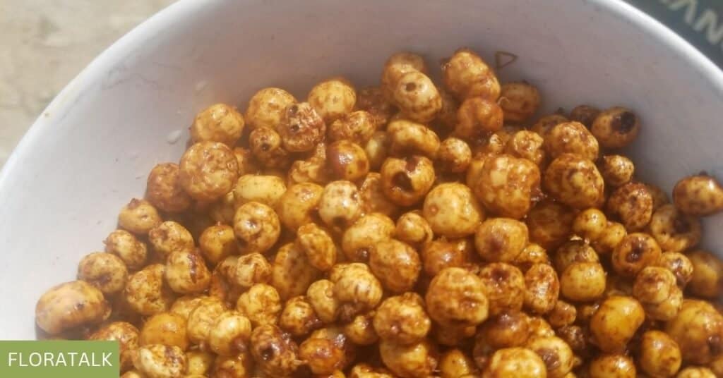 Tiger Nuts: Simple Facts, Uses And Benefits To Know.