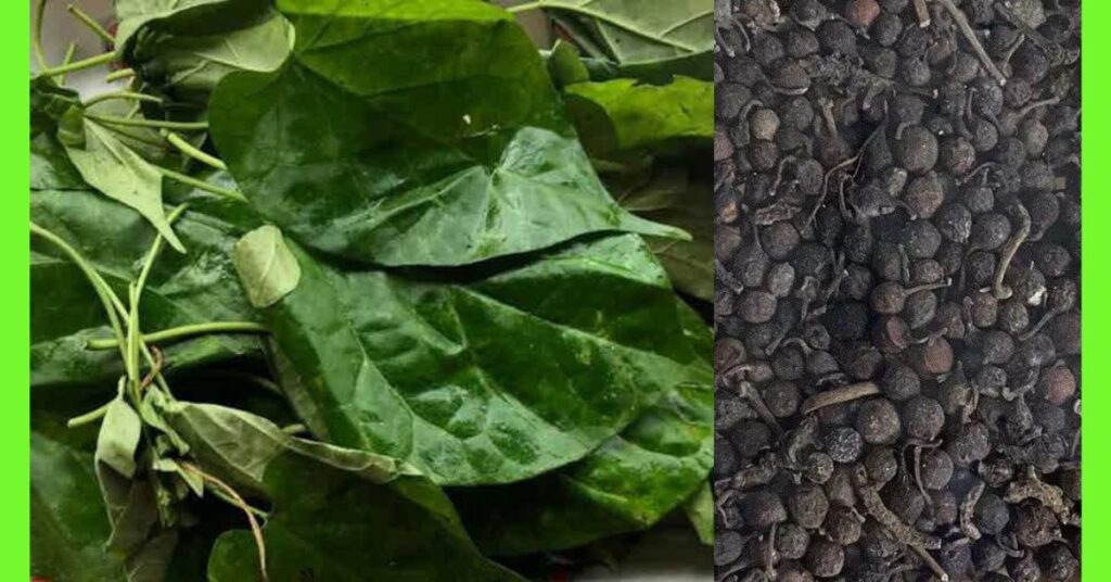 Ugu Leaf: Simple Facts, Uses And Benefits