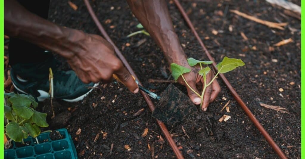 Planting Methods: A Guide for Gardeners and Farmers