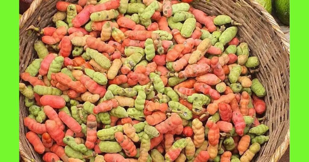 How to Plant Sesame in Nigeria